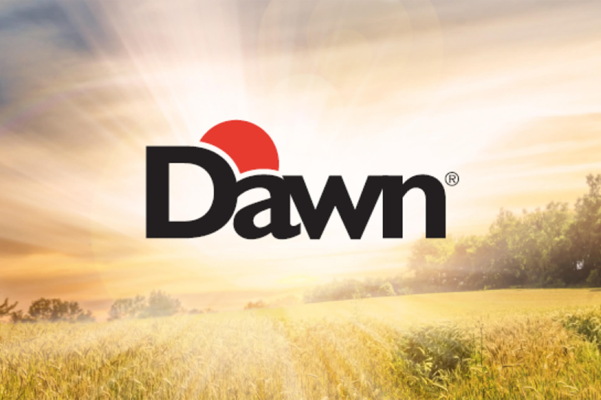 Dawn Foods names Jennifer Cloherty new CFO and announces additional ...