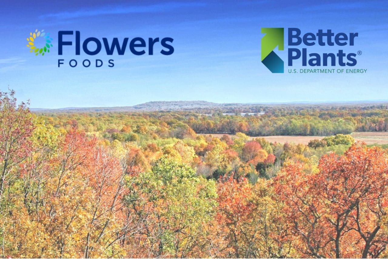 Flowers Foods invests in better-for-you brand Base Culture - Commercial ...