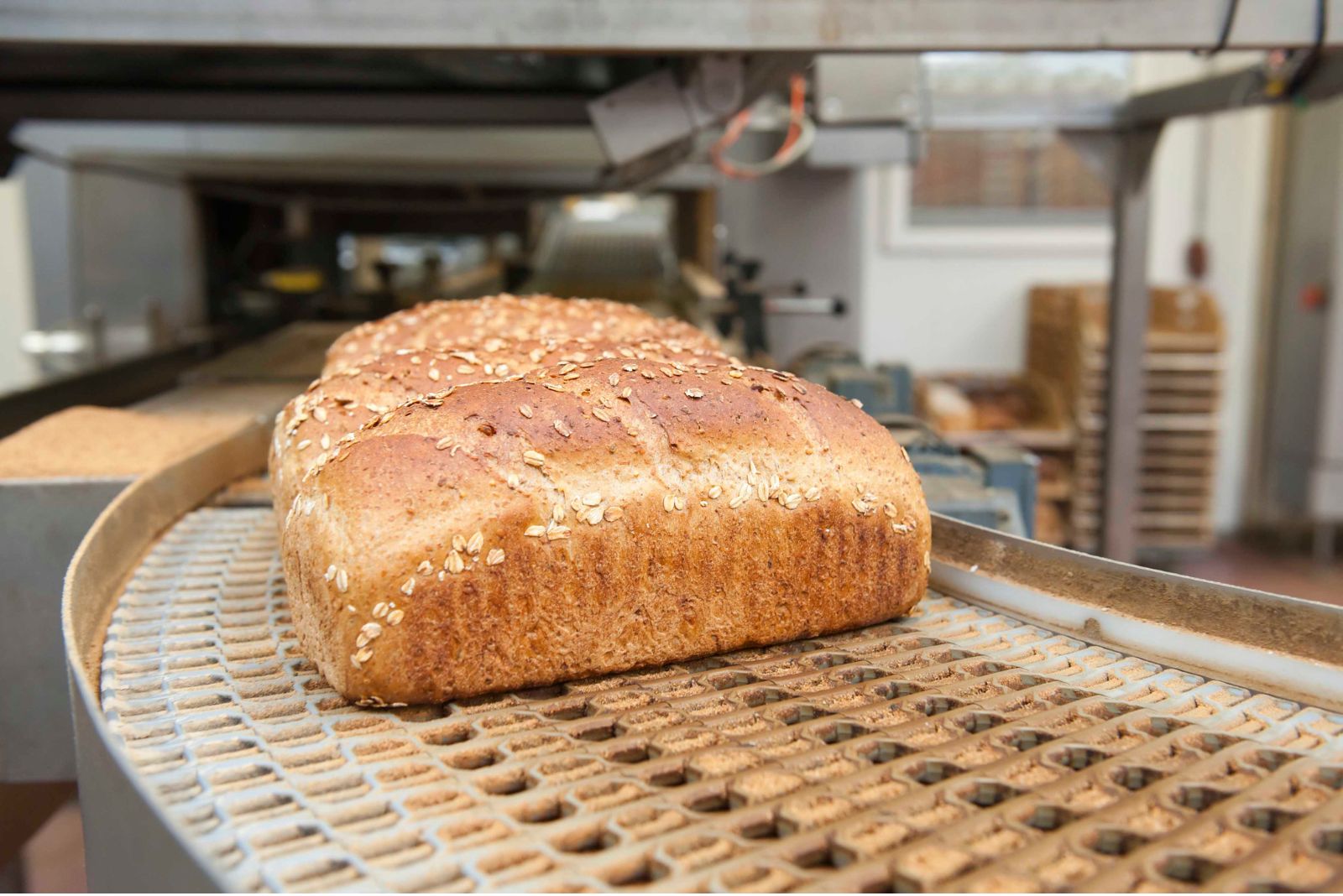 Two ways to reduce costly gluten needs with Corbion - Commercial Baking