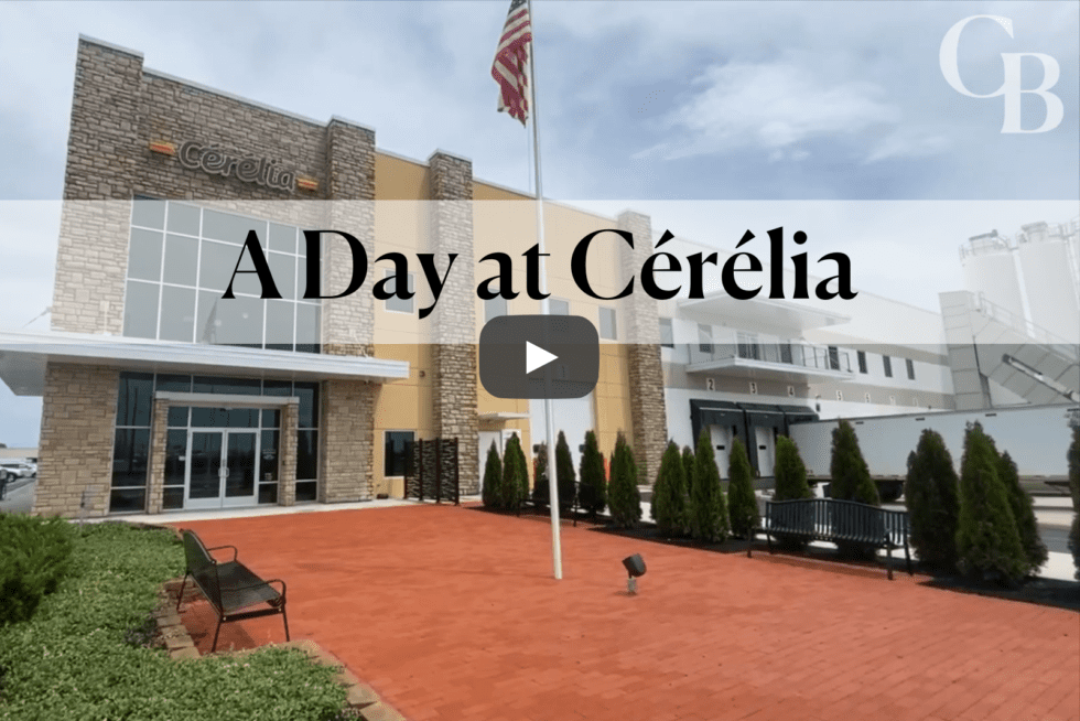 A Day at Cérélia - Commercial Baking