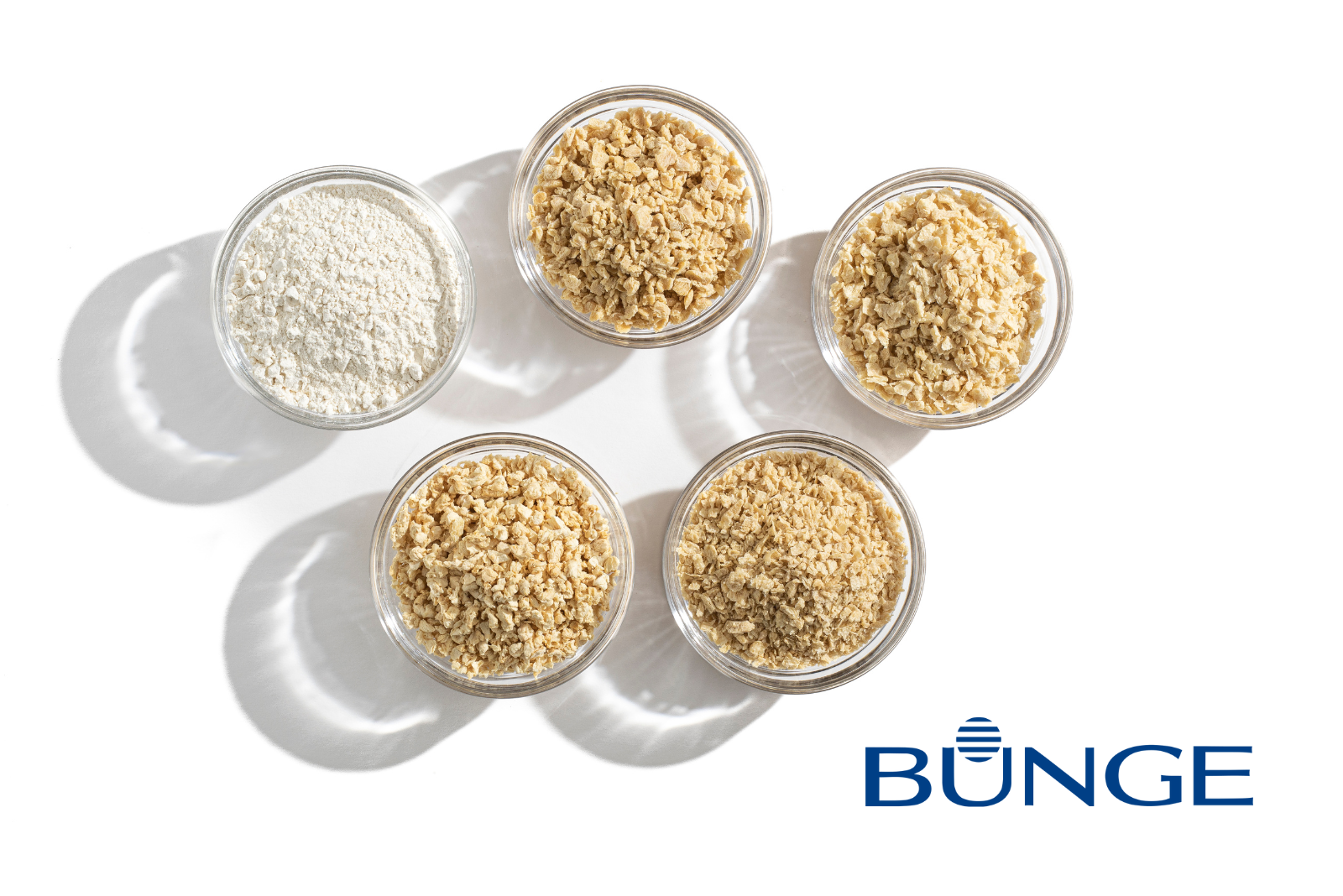 Bunge plans investment in US protein concentrate facility - Commercial ...