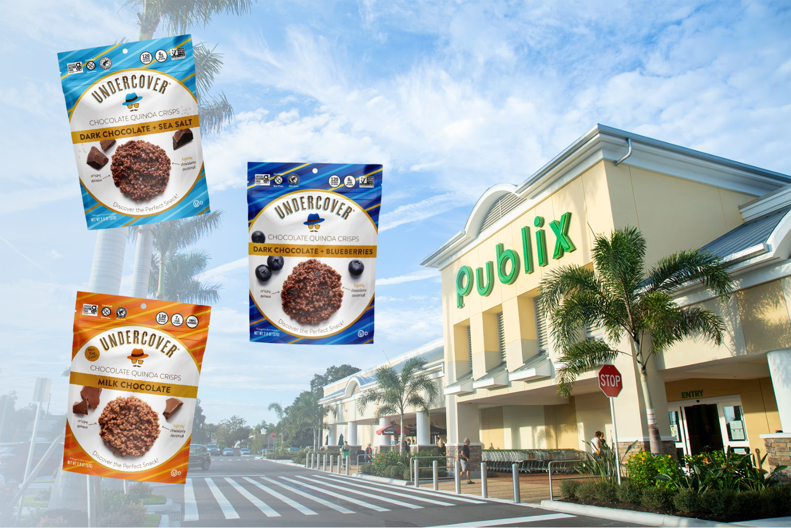 Undercover Snacks slips into Publix stores - Commercial Baking