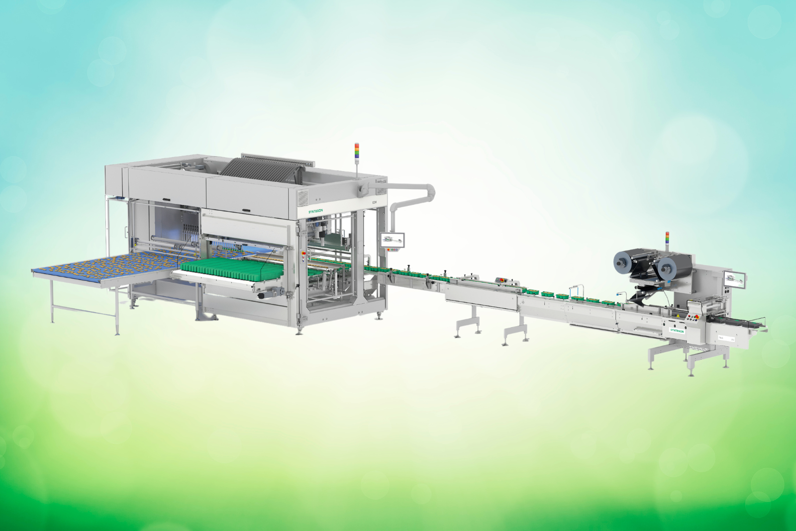 Syntegon releases direct handling system for cookies and crackers ...