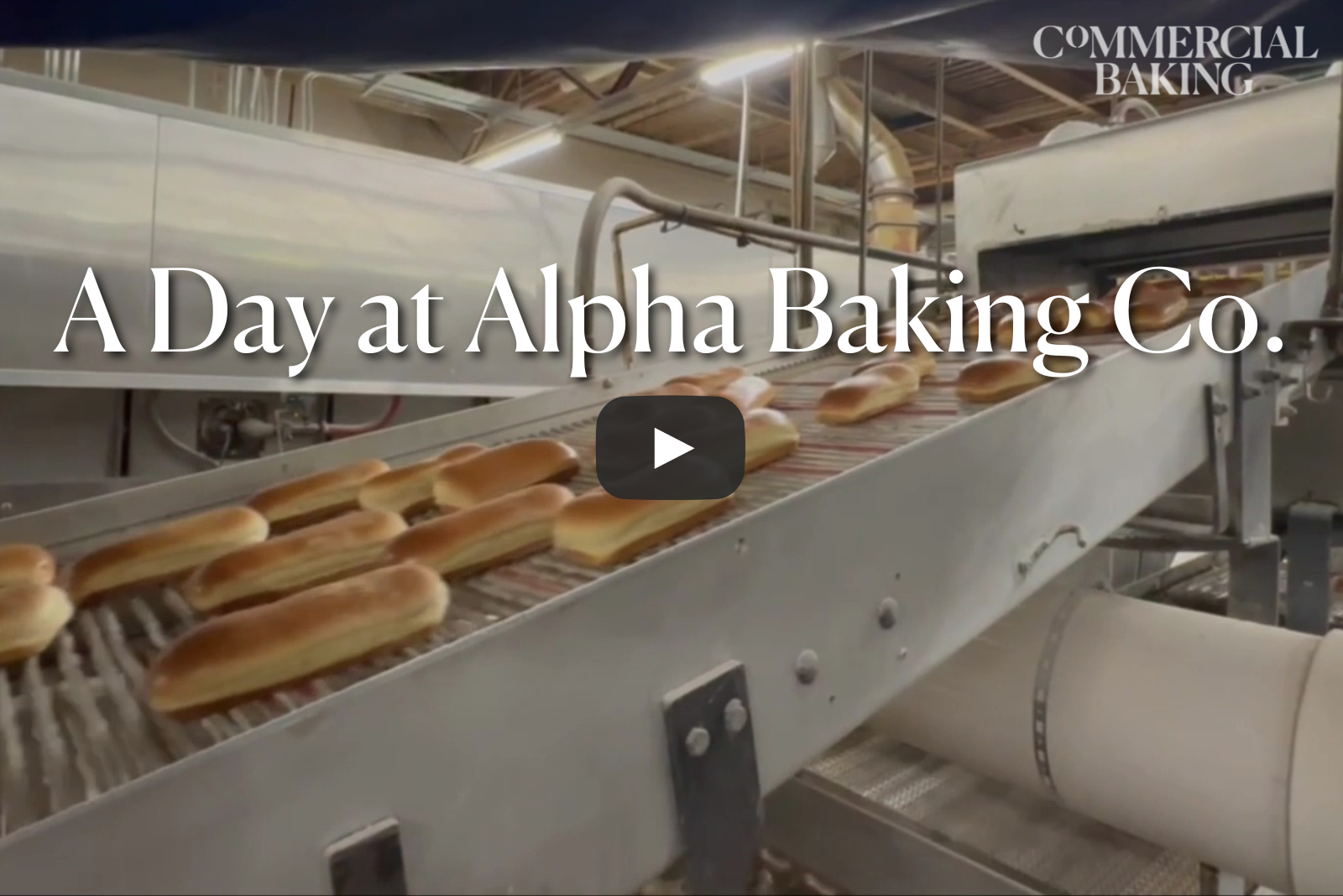 A Day at Alpha Baking Co. - Commercial Baking