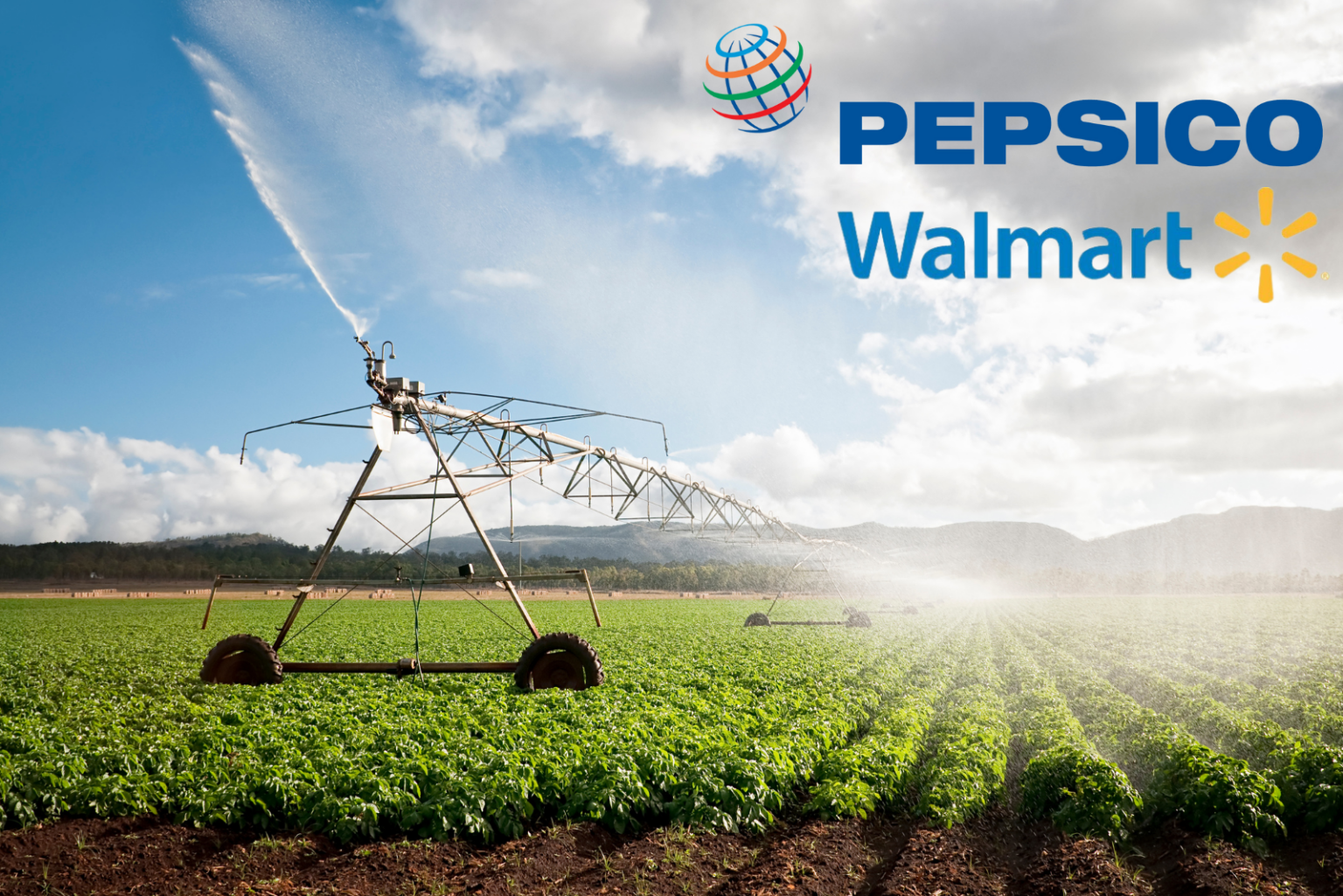 PepsiCo and Walmart partner to support regenerative agriculture ...