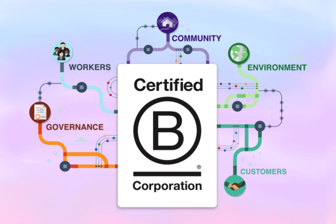 How obtaining B Corp status can open opportunities for innovation ...