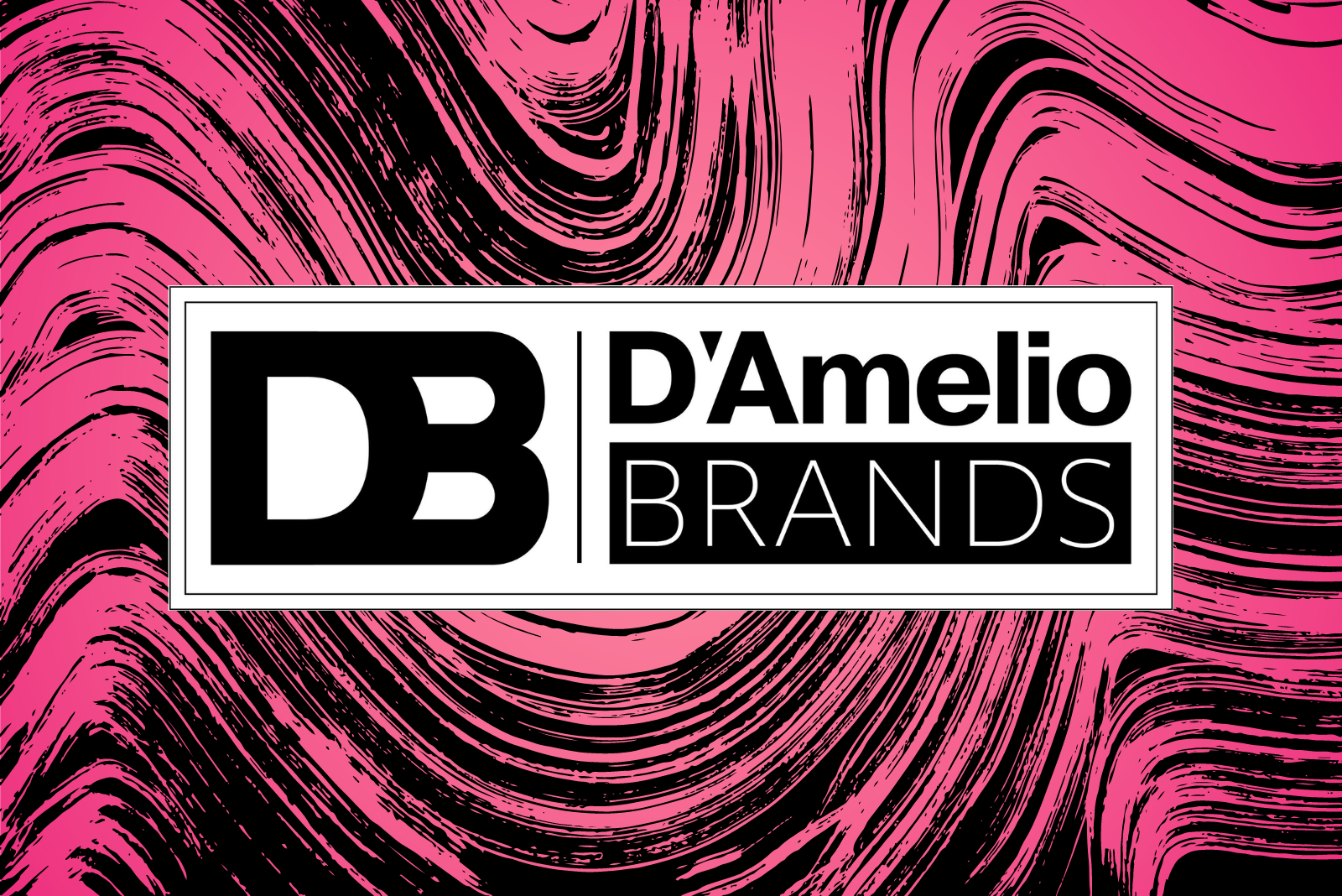 D’Amelio Brands invests $5 million into the food industry - Commercial ...