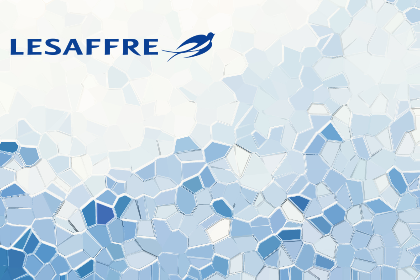 Lesaffre grows its US presence - Commercial Baking