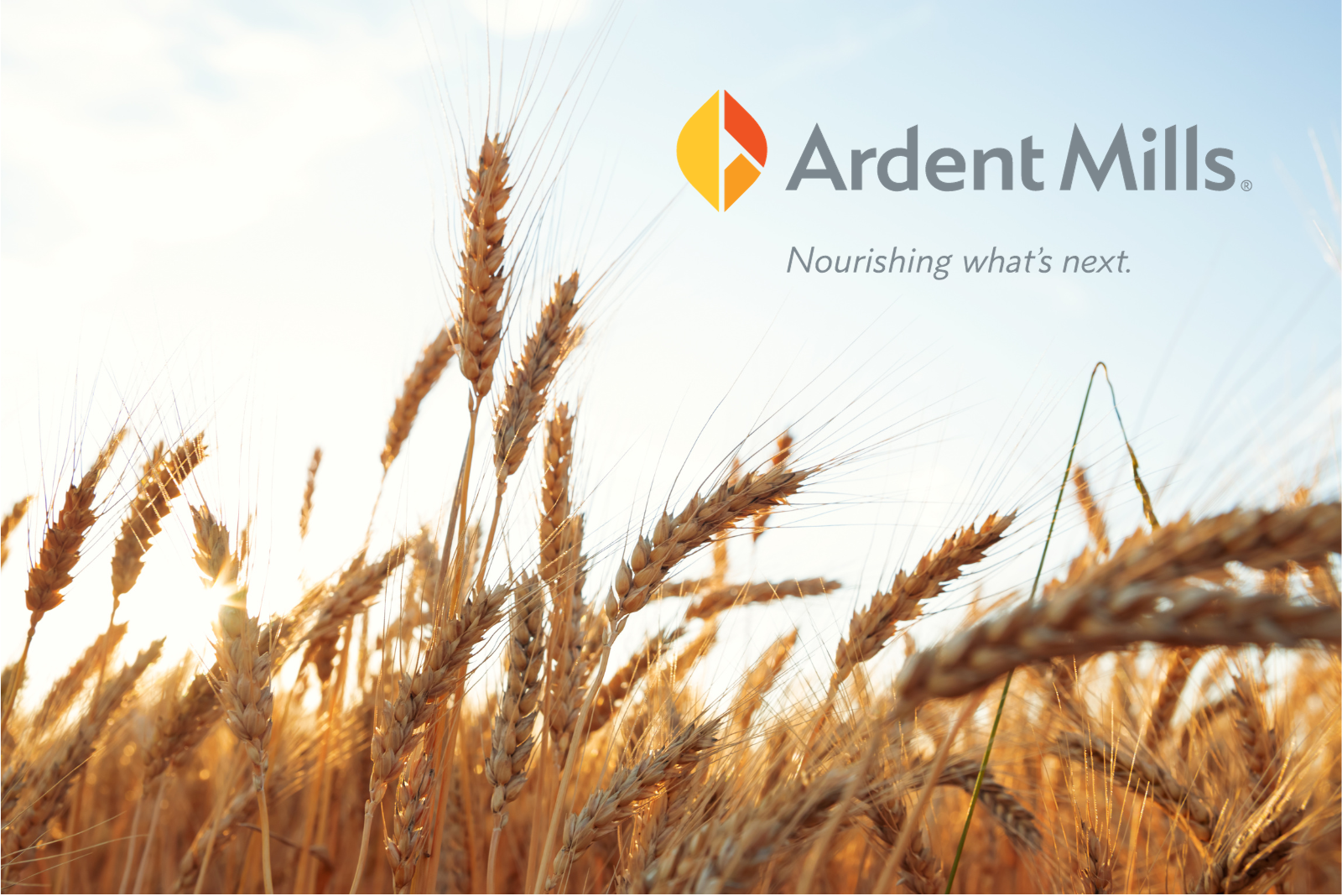 Ardent Mills releases 2023 ESG report - Commercial Baking